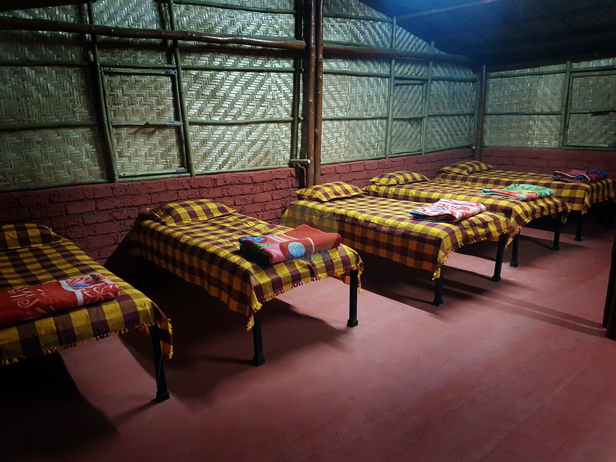 jeera rice dal salad papad pickle chutney green chilli thecha sweet ...