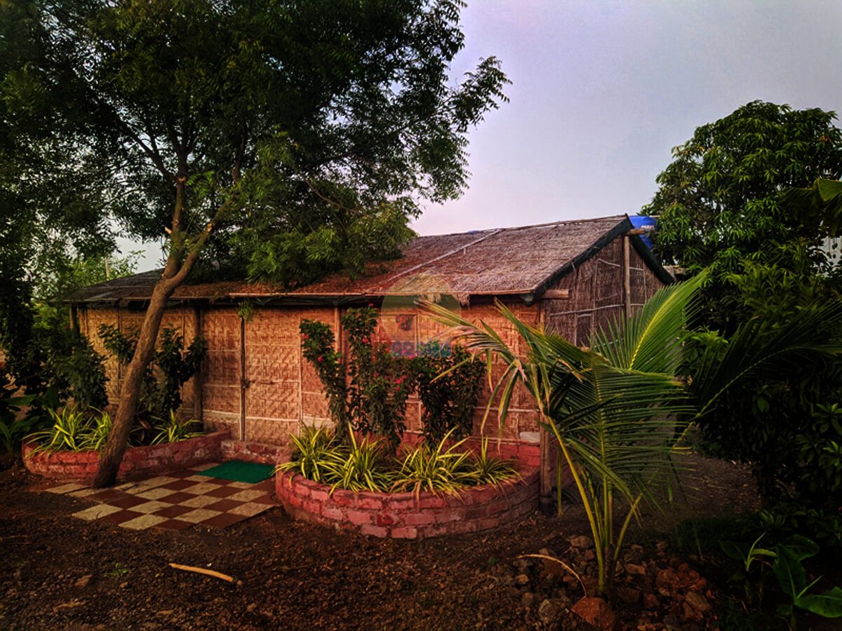 jeera rice dal salad papad pickle chutney green chilli thecha sweet ...